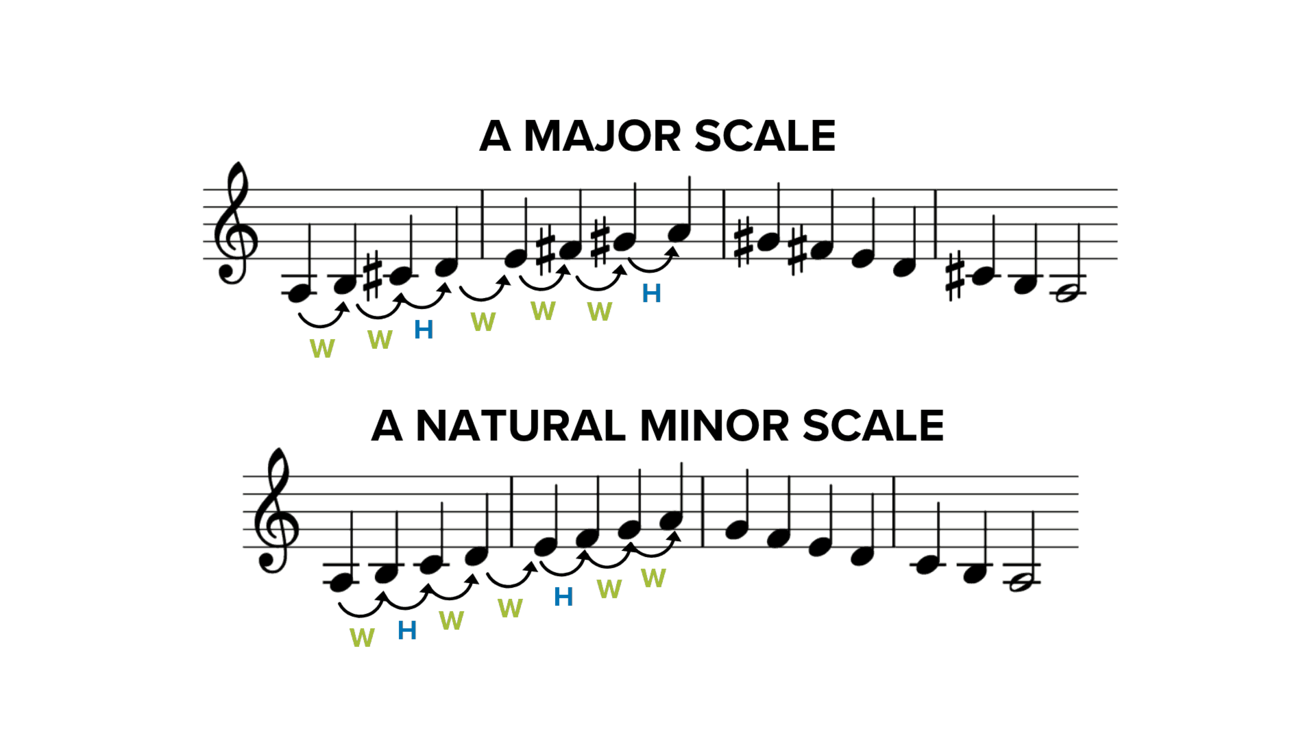 Types of Scale and Examples - ArtMindFestival